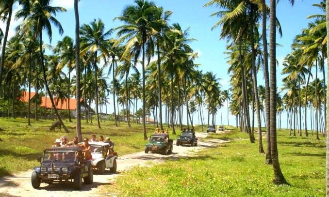 Passeio de Buggy | Summerville Beach Resort - Site Oficial